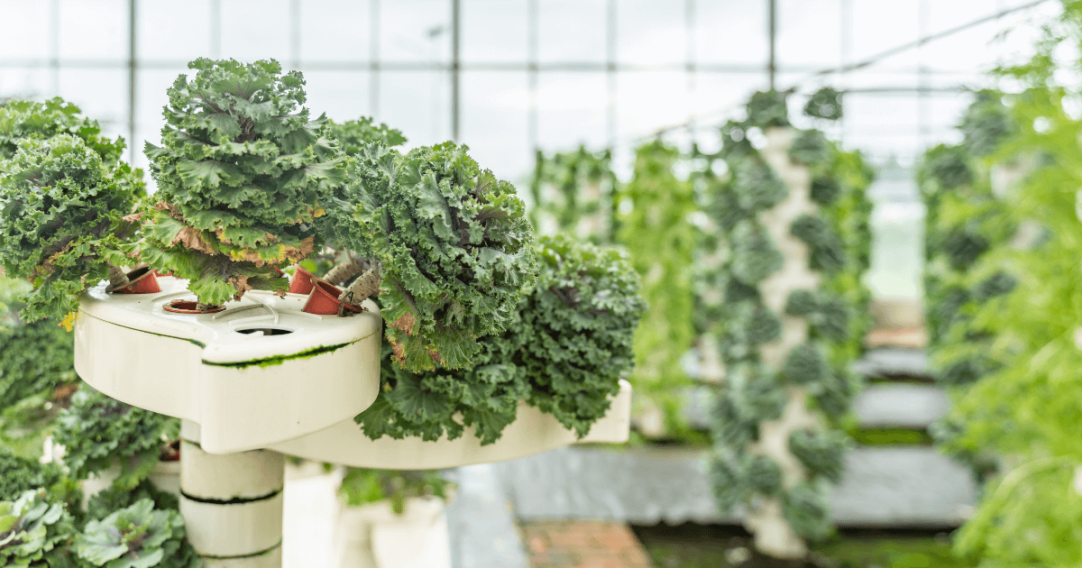 2023 Indoor Farming Best Practices Unveiled - indoorfarminghub.com