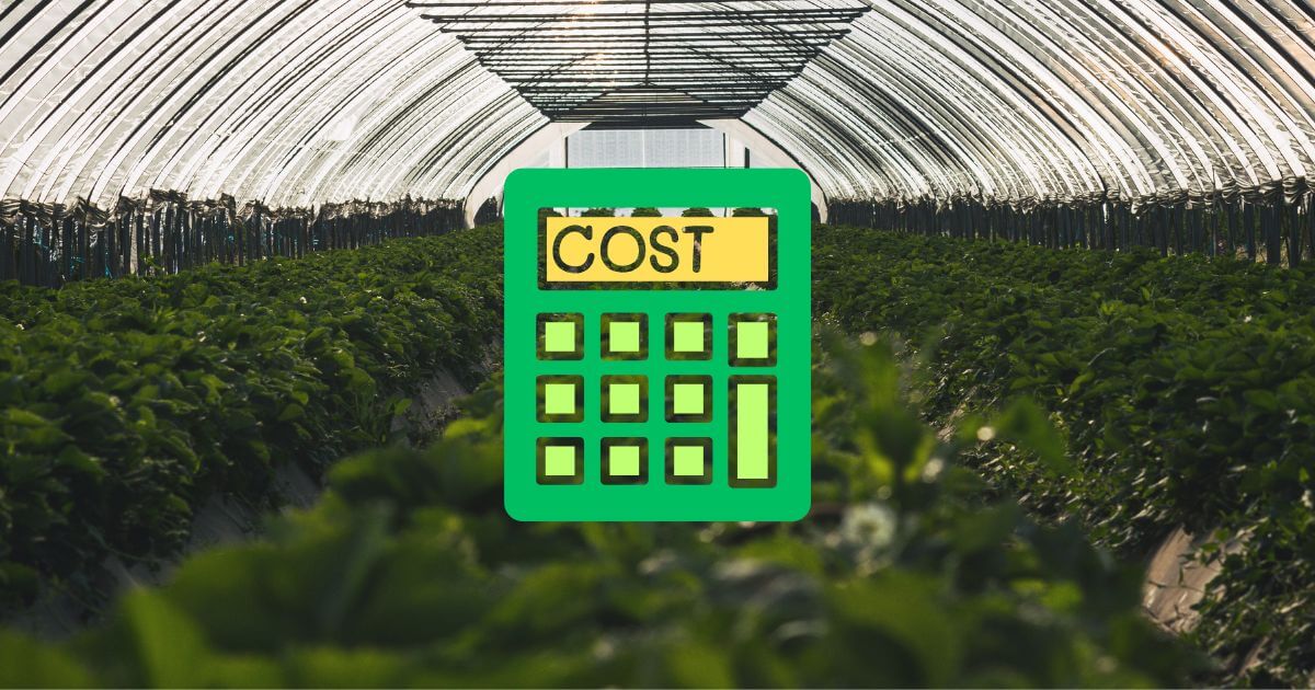 Ultimate Closed Loop Systems: The Future of Sustainable Indoor Farming ...