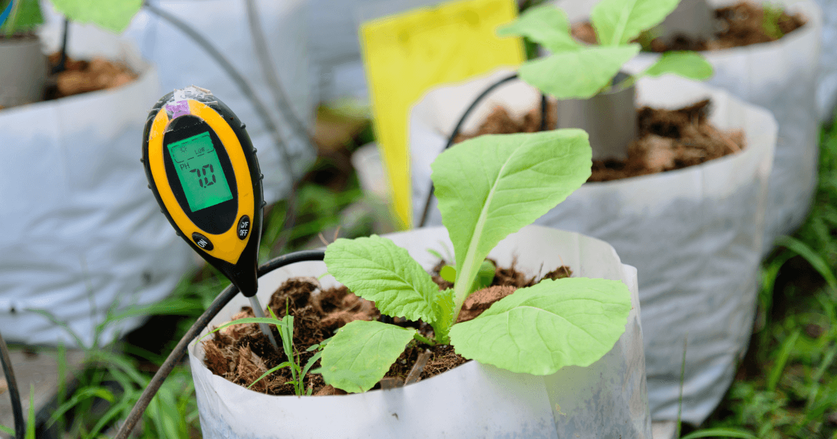 Master the Art of pH and EC Control in Hydroponics - indoorfarminghub.com