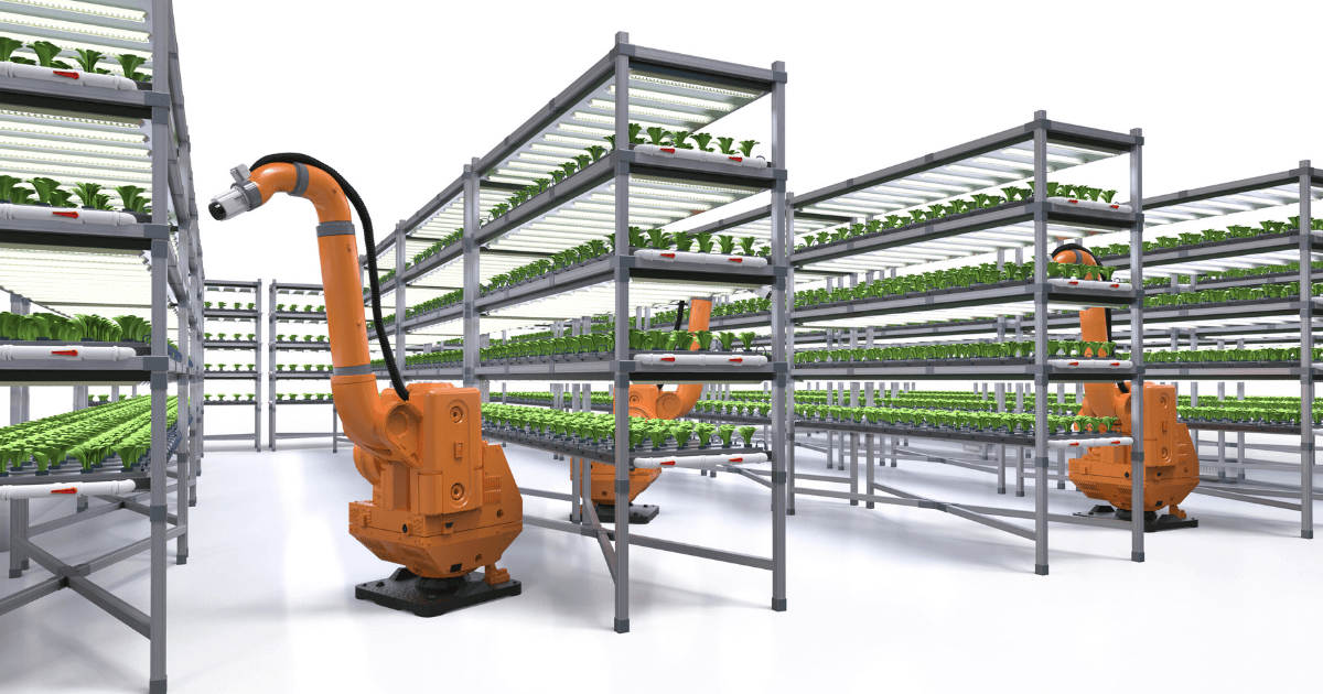 Simplify Indoor Farming with Automated Hydroponic Systems ...