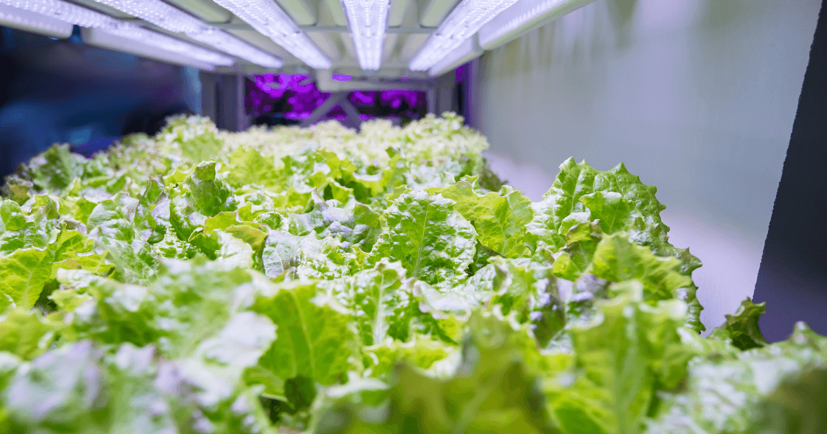 home - indoorfarminghub.com