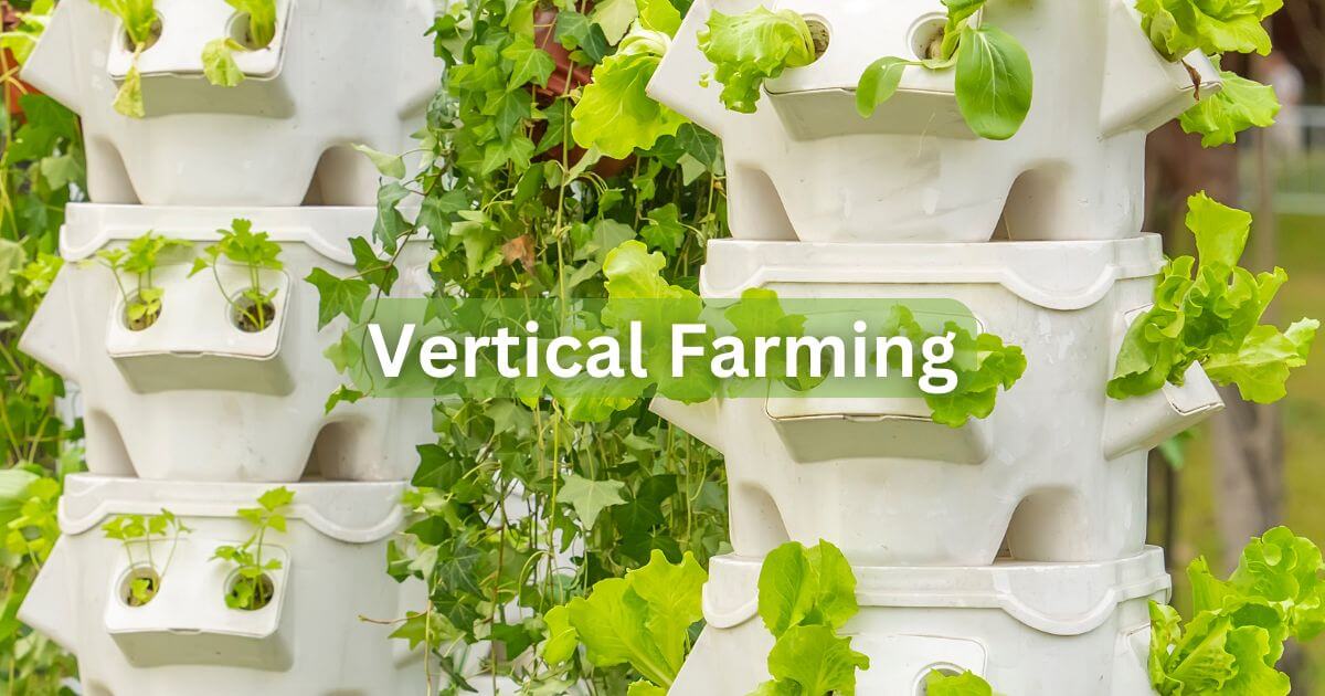 Vertical Farming Revolution: Unleashing Full Potential for a ...