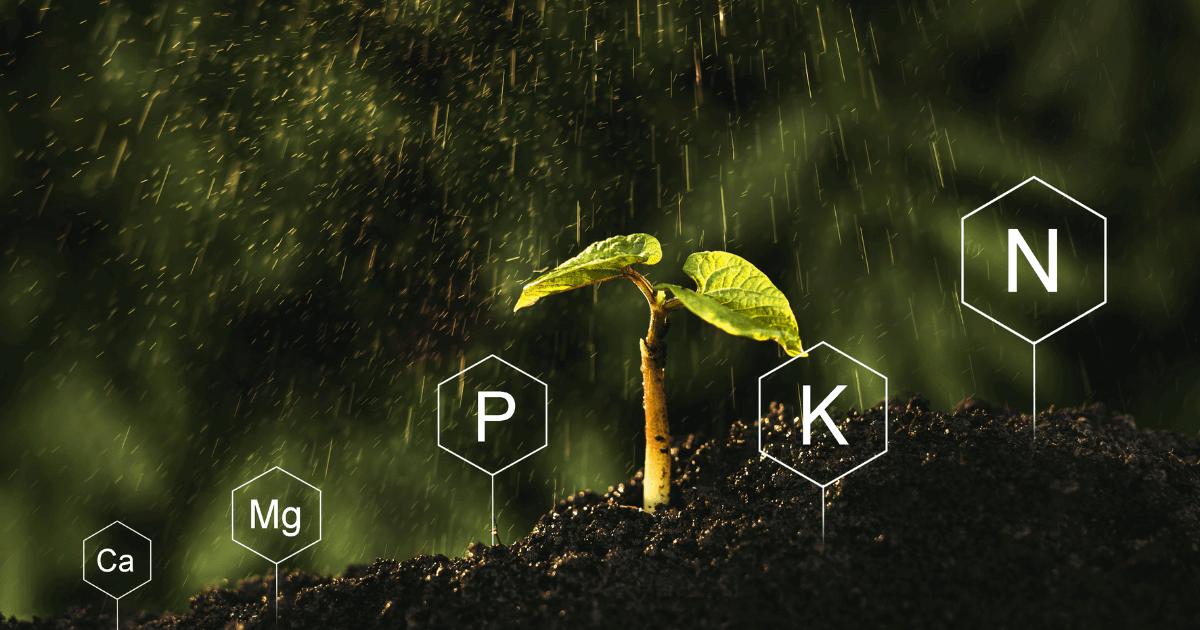 Nurturing Plants: Indoor Farming Nutrient Management - indoorfarminghub.com