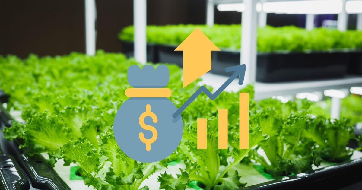 Strategies for Selling Indoor Crops: Ultimate Boost Your Profits ...