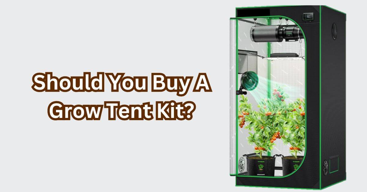 Should You Buy a Grow Tent Kit? - indoorfarminghub.com