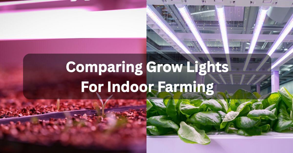 Comparing Grow Lights for Indoor Farming: The Shocking Truth Every ...