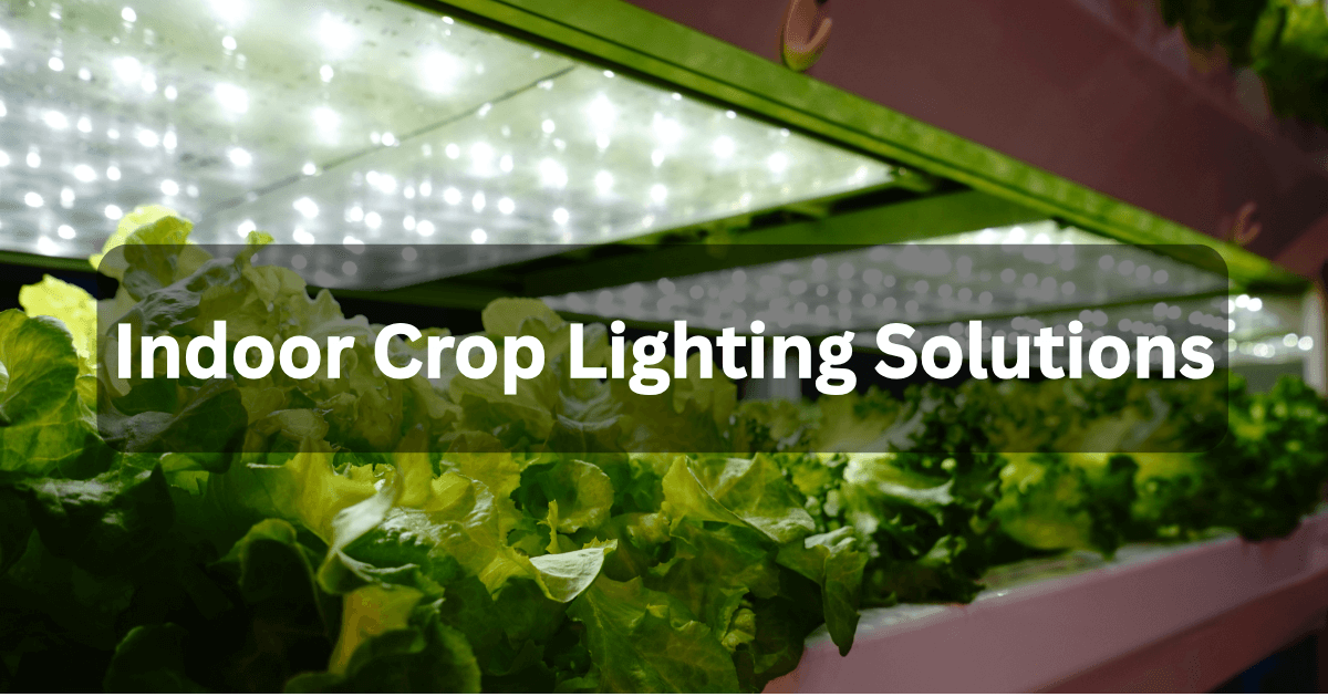 Brilliant Indoor Crop Lighting Solutions That Will Supercharge Your ...