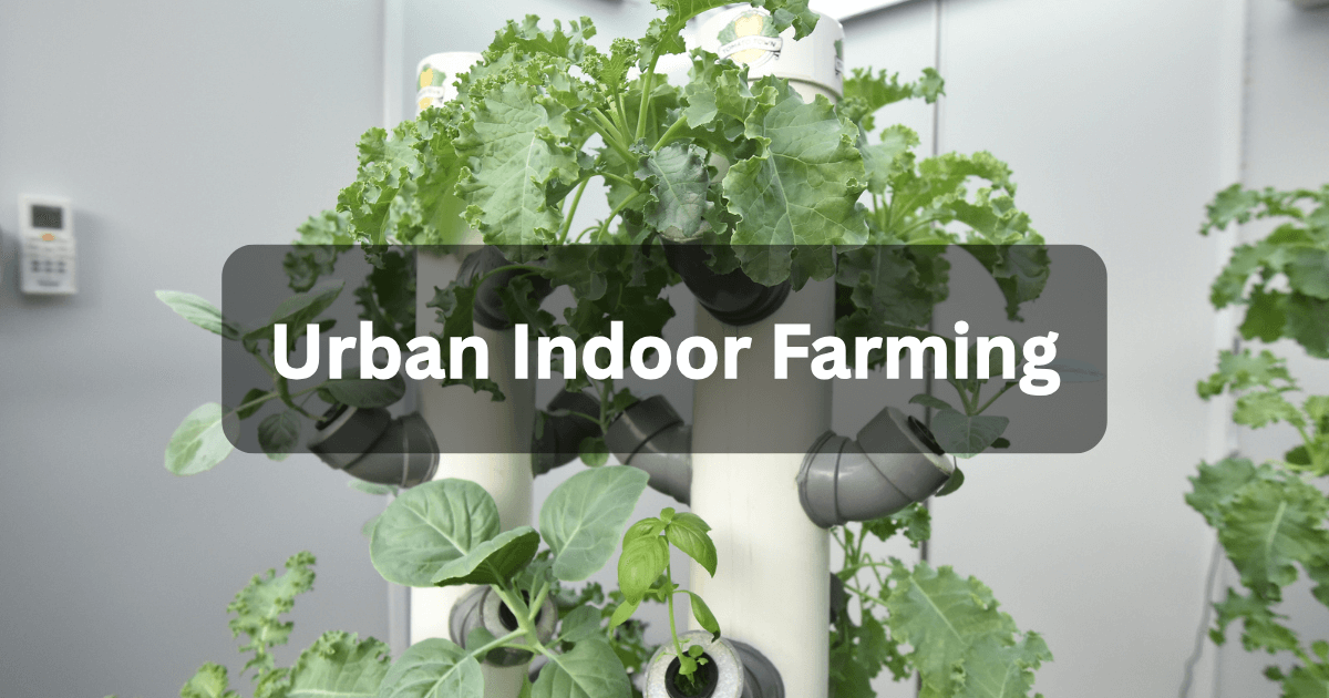 Revolutionize City Living: 15 Reasons Urban Indoor Farming is the ...
